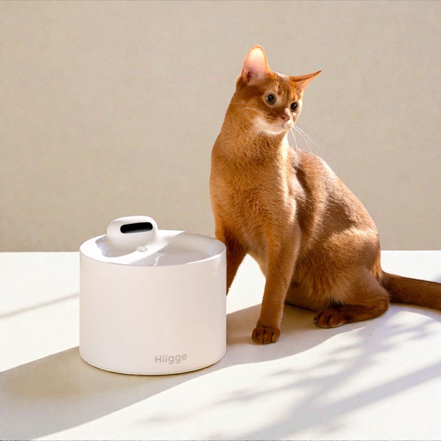Hiigge雪頂 Light 2 智能寵物飲水機 (UVC殺菌+抑菌版|4000mAh|2.3L容量) – 毛孩物語Pets Thing｜香港 ...