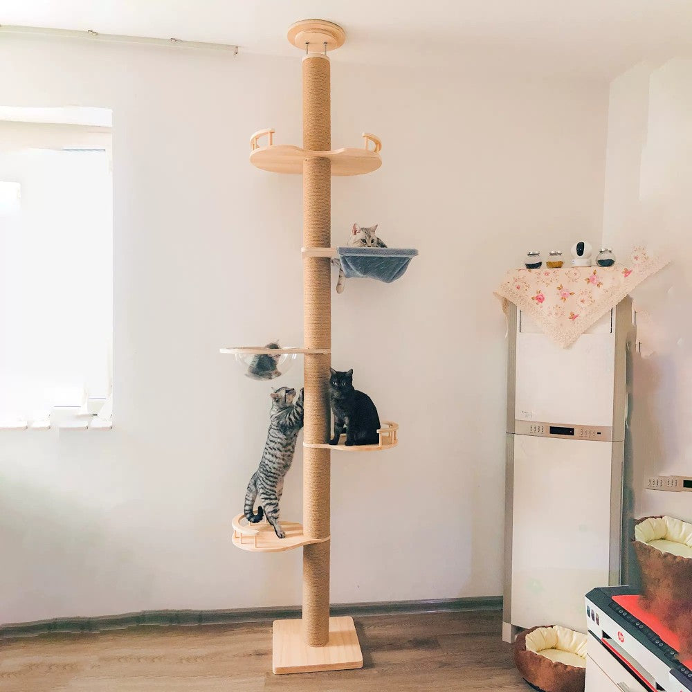 Pets Thing Tongtianzhu cat tree top cat climbing frame cat jumping pla ...