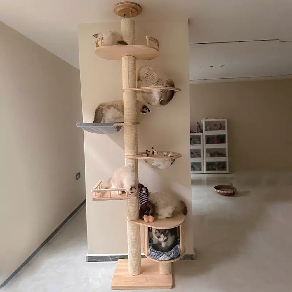 Pets Thing Tongtianzhu cat tree top cat climbing frame cat jumping pla ...